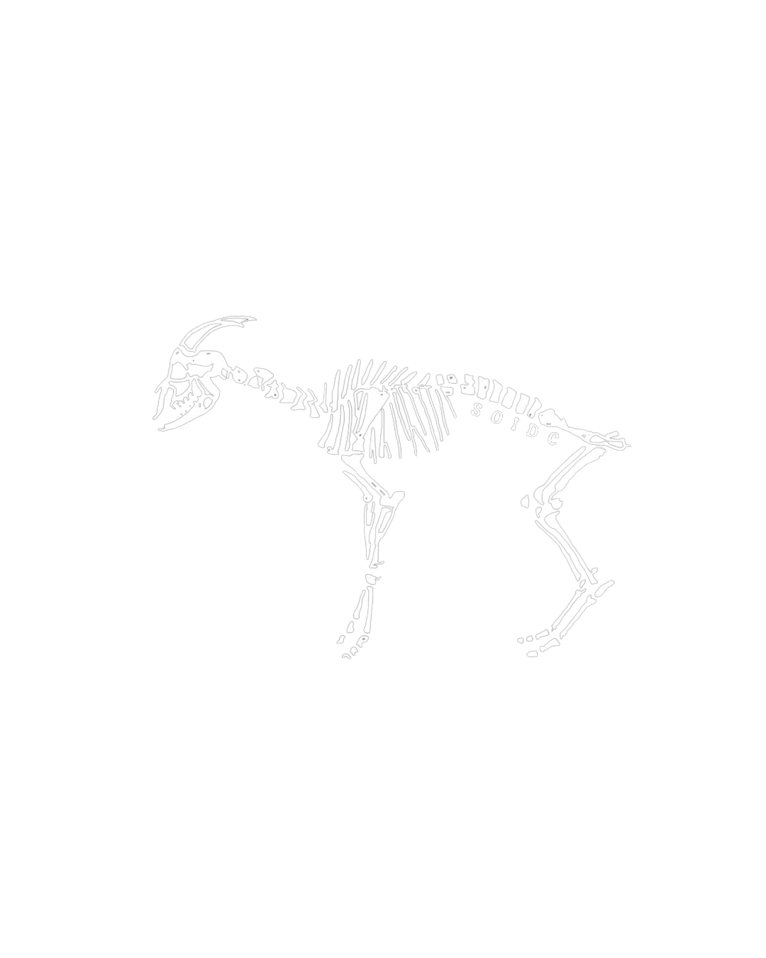 About Us – Hoof & Skull